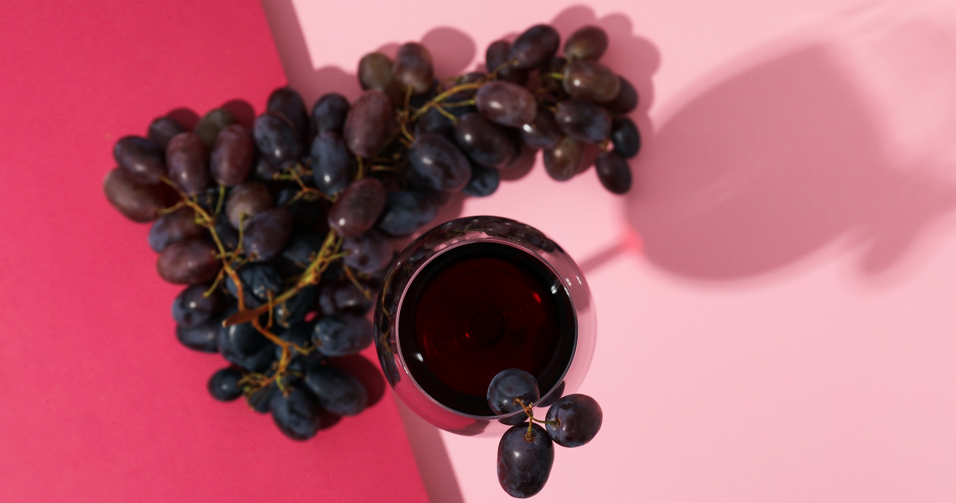 Beneficios del vino tinto ¿Es bueno para la salud beber una copa al día?